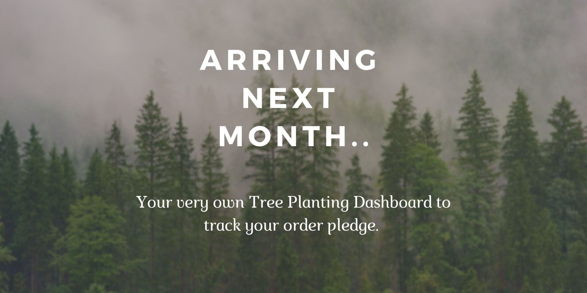 Your Own Tree Planting Dashboard 🌲